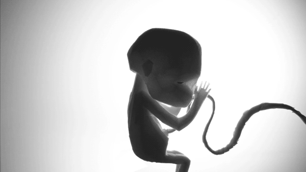 Eagleman Stag | Blinkink